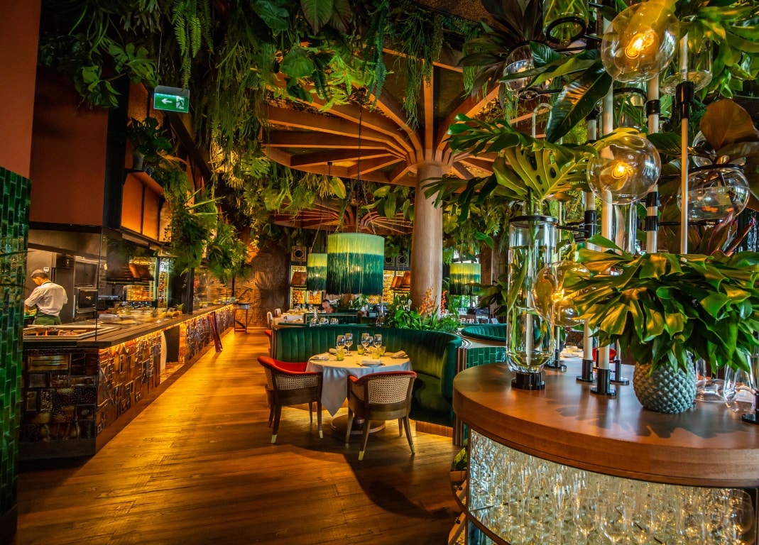 Amazonico Dubai - Best Latin American Restaurants in Dubai